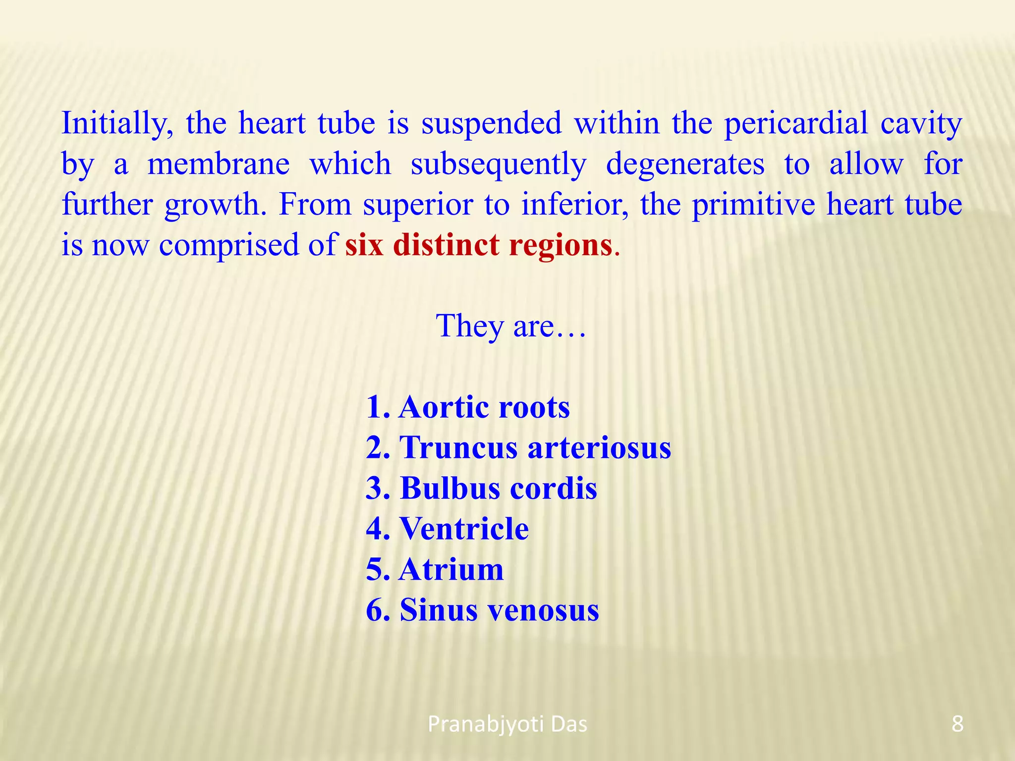 Evolution of Heart | PPTX