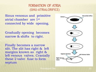 Evolution of Heart | PPTX