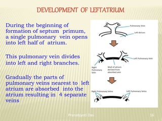 Evolution of Heart | PPTX