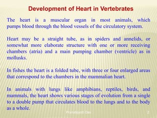 Evolution of Heart | PPTX