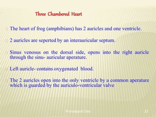 Evolution of Heart | PPTX