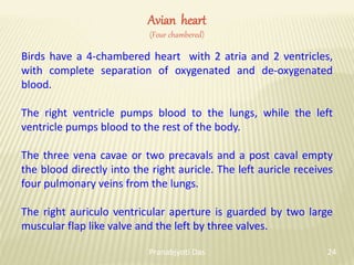 Evolution of Heart | PPTX