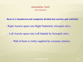 Evolution of Heart | PPTX