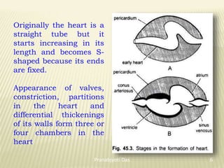 Evolution of Heart | PPTX