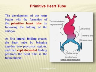 Evolution of Heart | PPTX