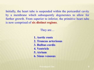 Evolution of Heart | PPTX