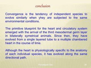 Evolution of Heart | PPT