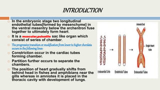 Evolution of heart by pratibha.pptx