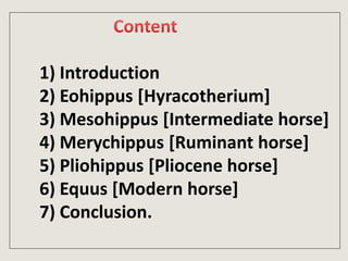 Evolution of horse in paleontology | PPTX