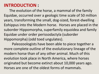 Evolution of horse in paleontology | PPTX
