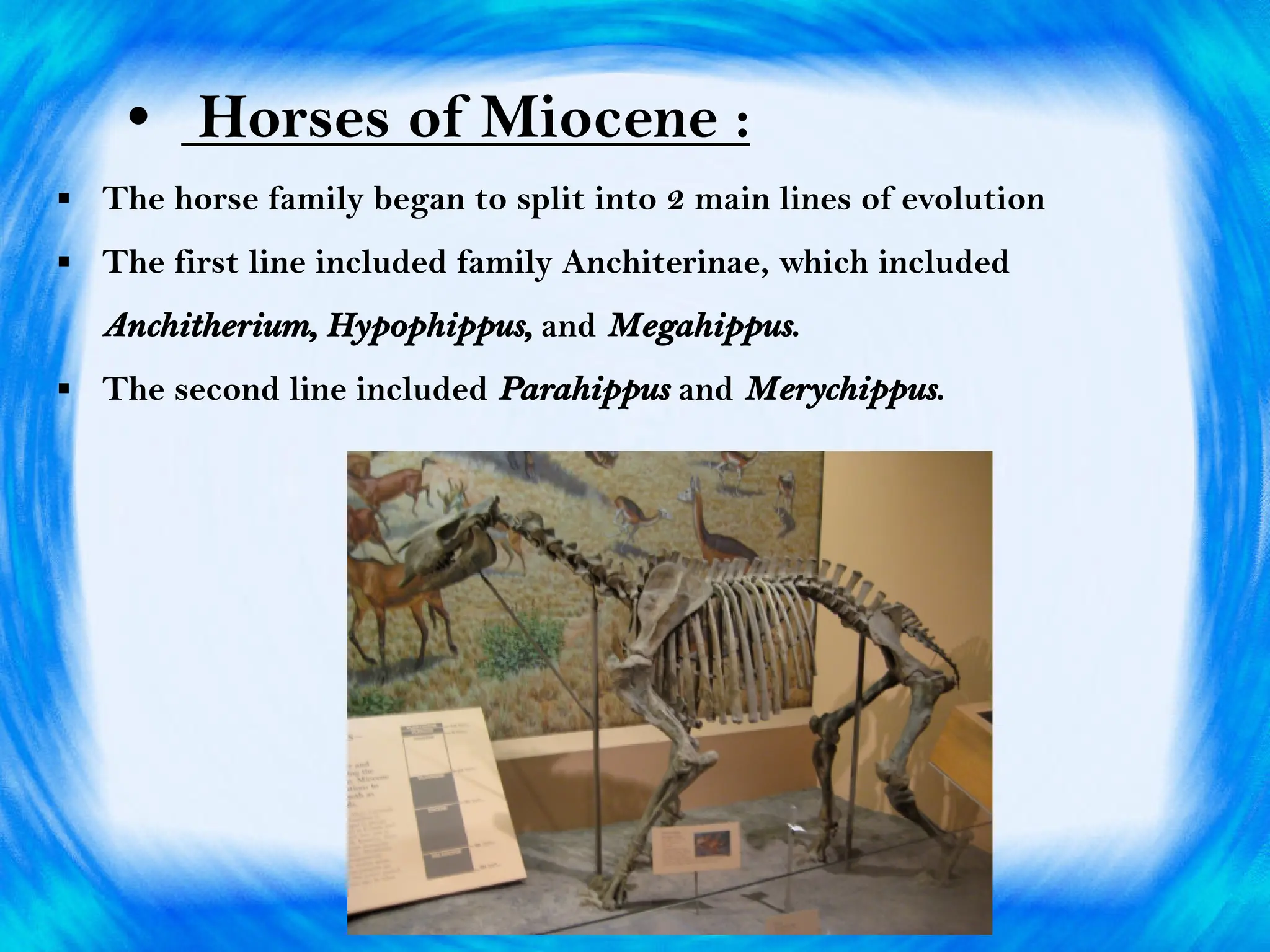 Evolution Of Horse - Introduction, Taxonomy, Evolutionary trends, Types ...
