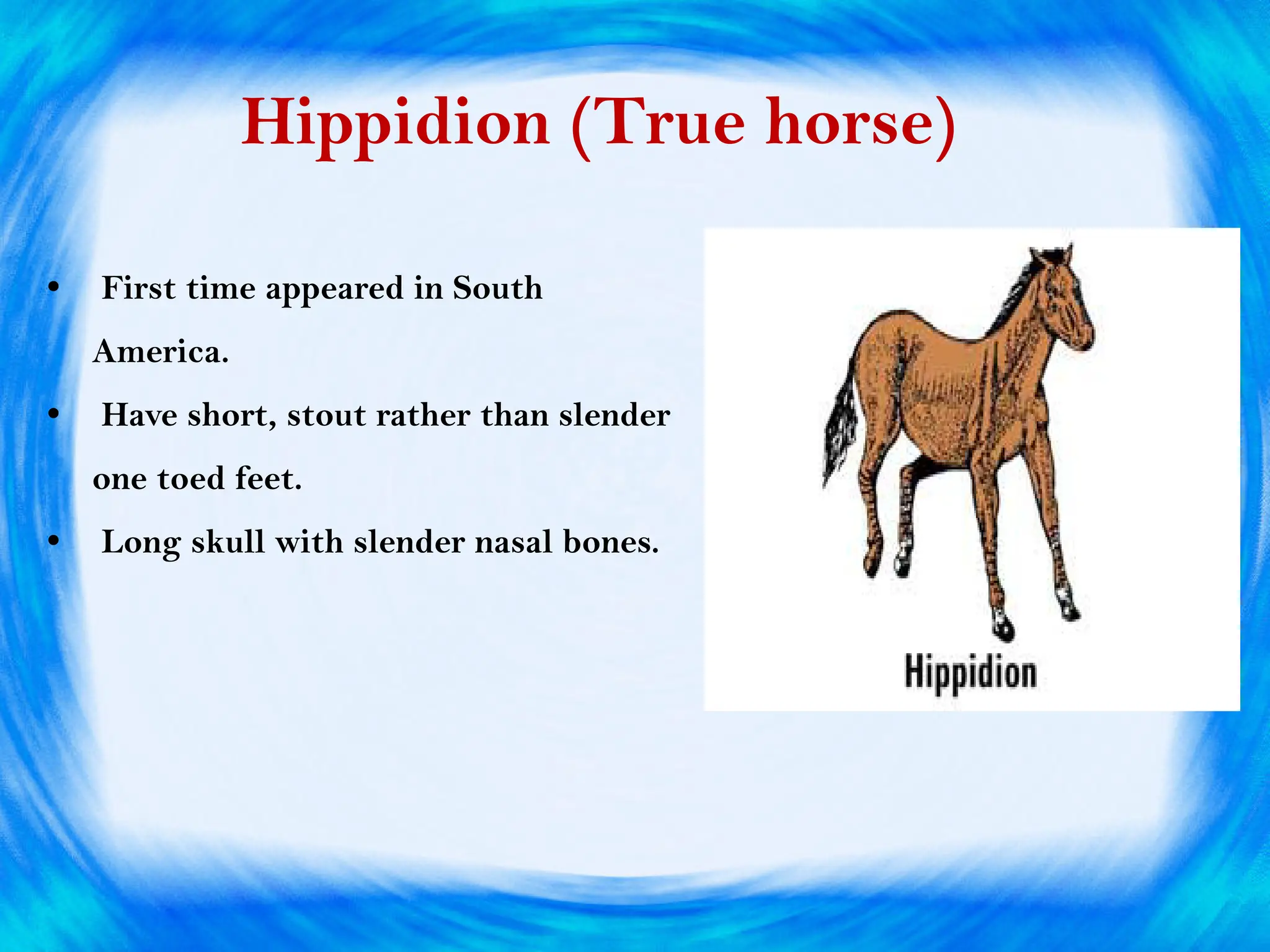 Evolution Of Horse - Introduction, Taxonomy, Evolutionary trends, Types ...