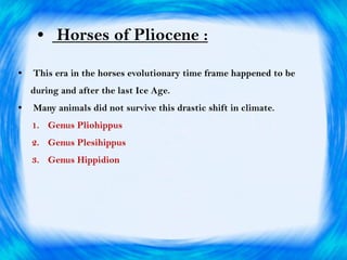 Evolution Of Horse - Introduction, Taxonomy, Evolutionary trends, Types ...
