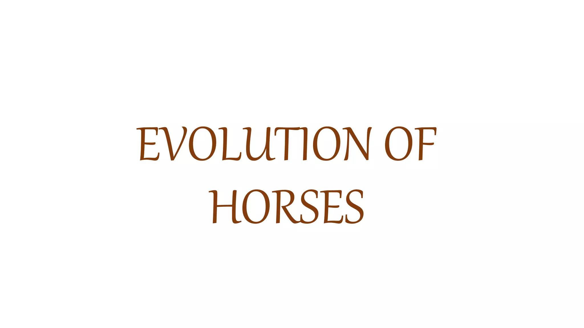 EVOLUTION OF HORSES PPT.pptx