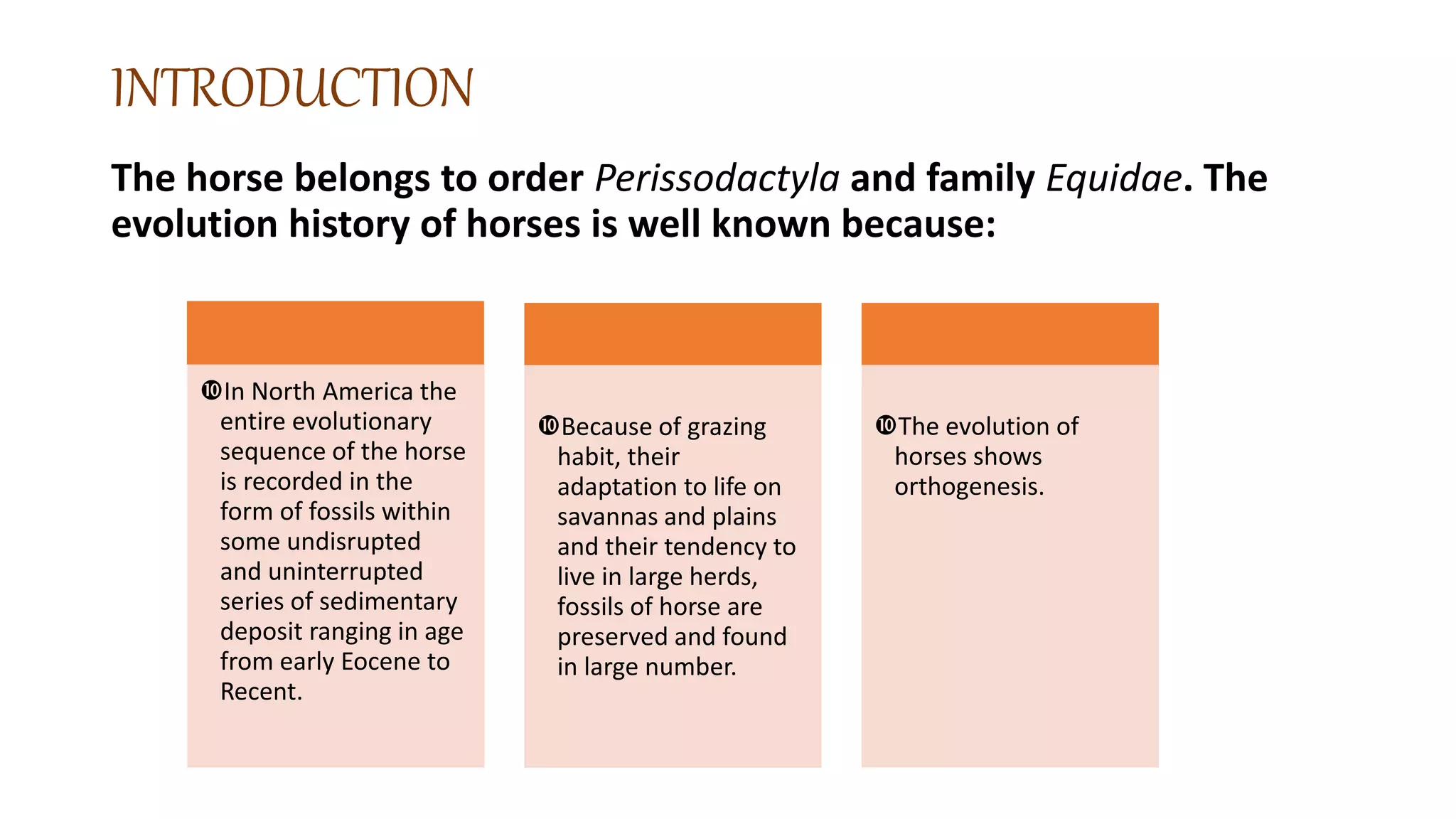EVOLUTION OF HORSES PPT.pptx