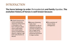EVOLUTION OF HORSES PPT.pptx