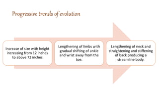 EVOLUTION OF HORSES PPT.pptx