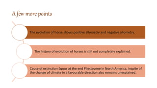 EVOLUTION OF HORSES PPT.pptx