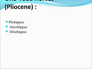 Evolution of hourse ppt iqra | PPT | Geology | Science
