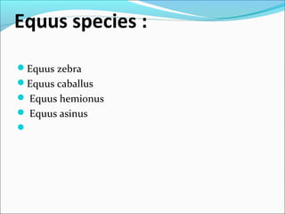 Evolution of hourse ppt iqra | PPT | Geology | Science