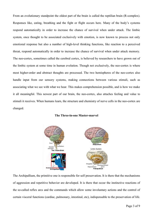 Evolution of human brain & mind | DOC | Brain and Nervous System ...