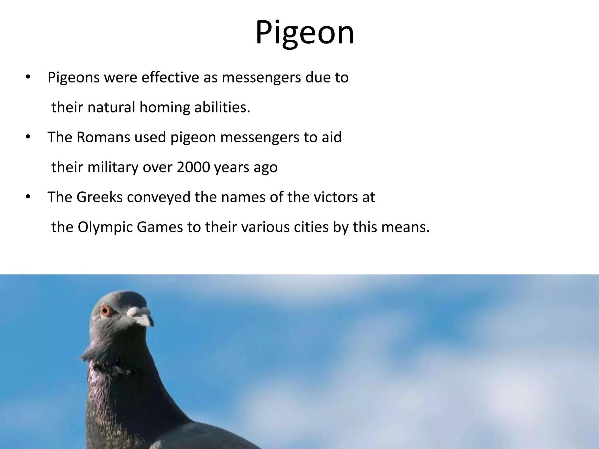 Evolution of human communication | PPTX