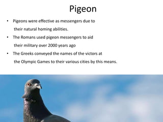 Evolution of human communication | PPTX