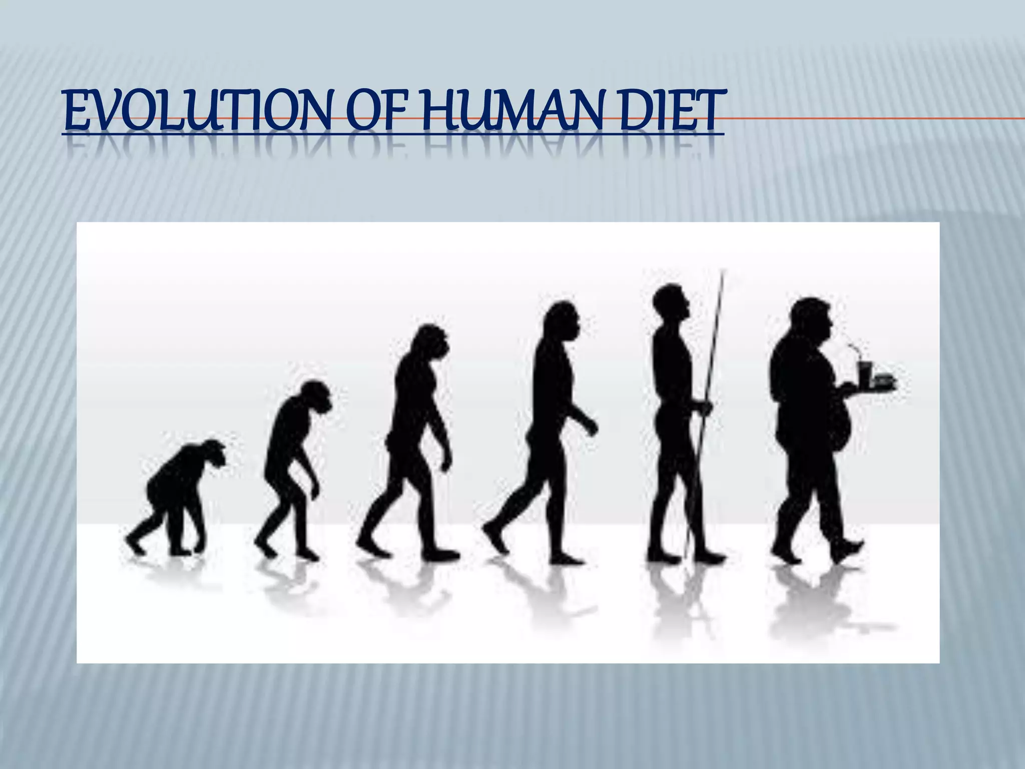 Evolution of human diet | PPTX