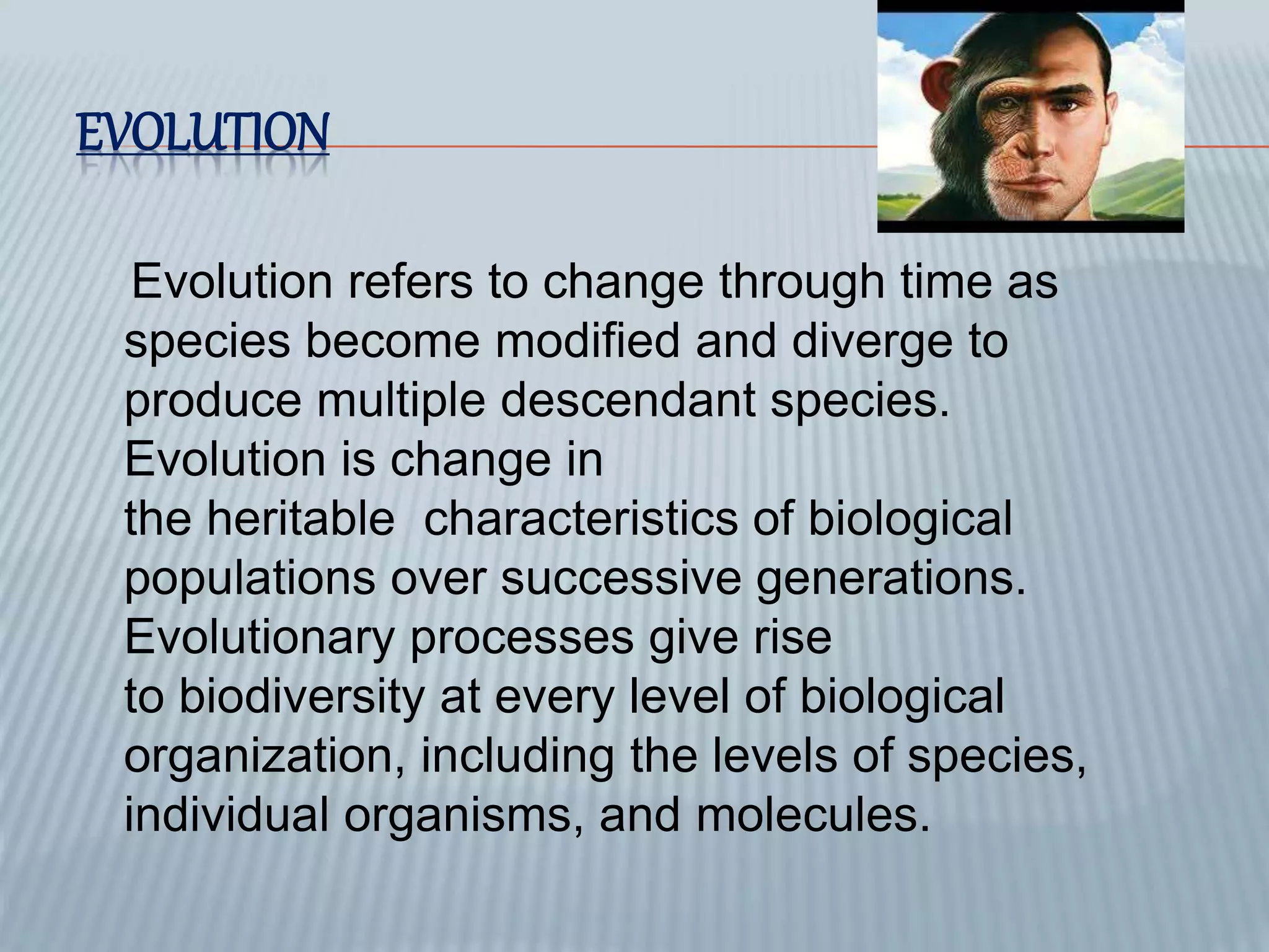 Evolution Of Human Diet Ppt