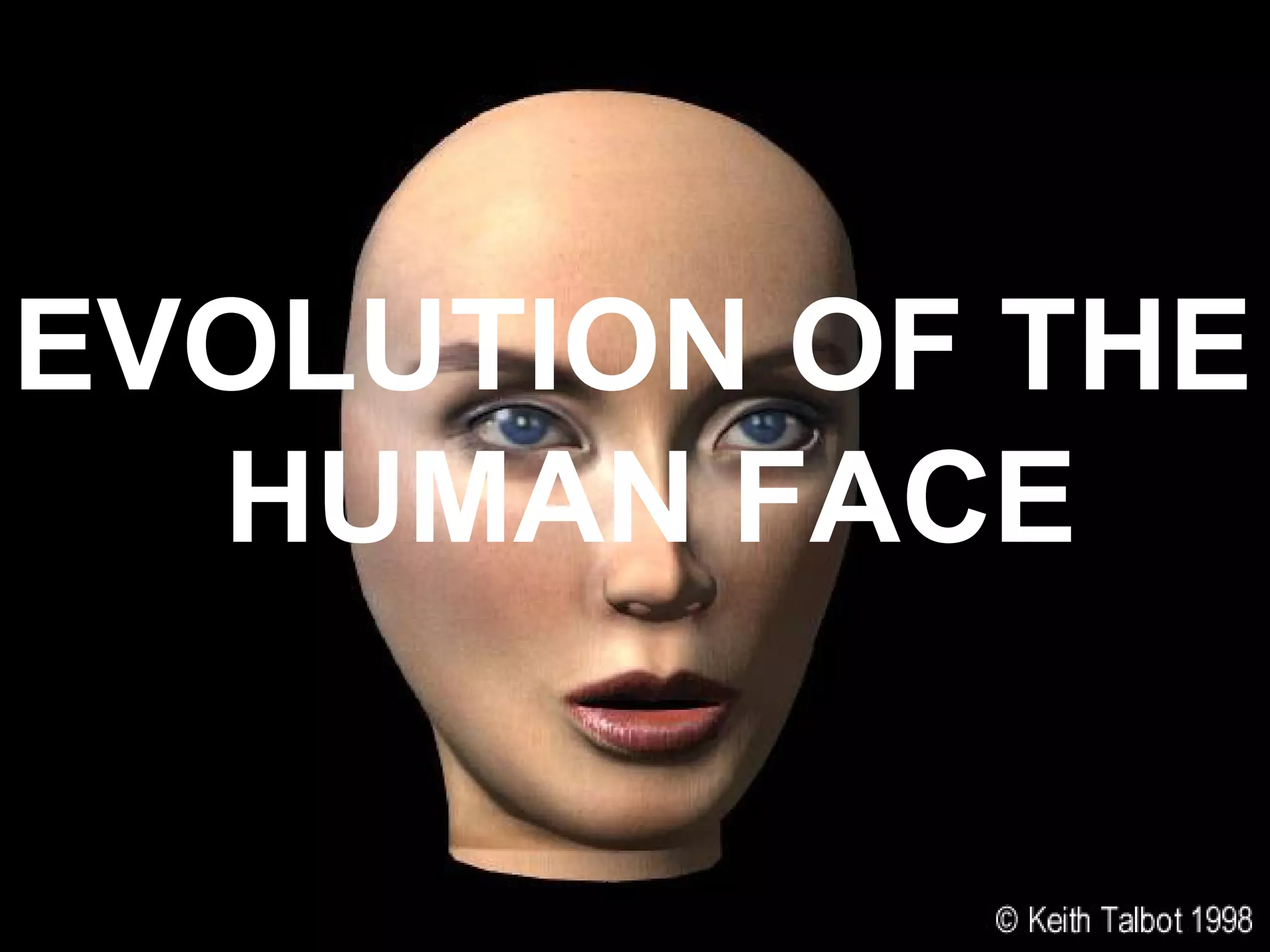 Evolution of human face.. | PPT