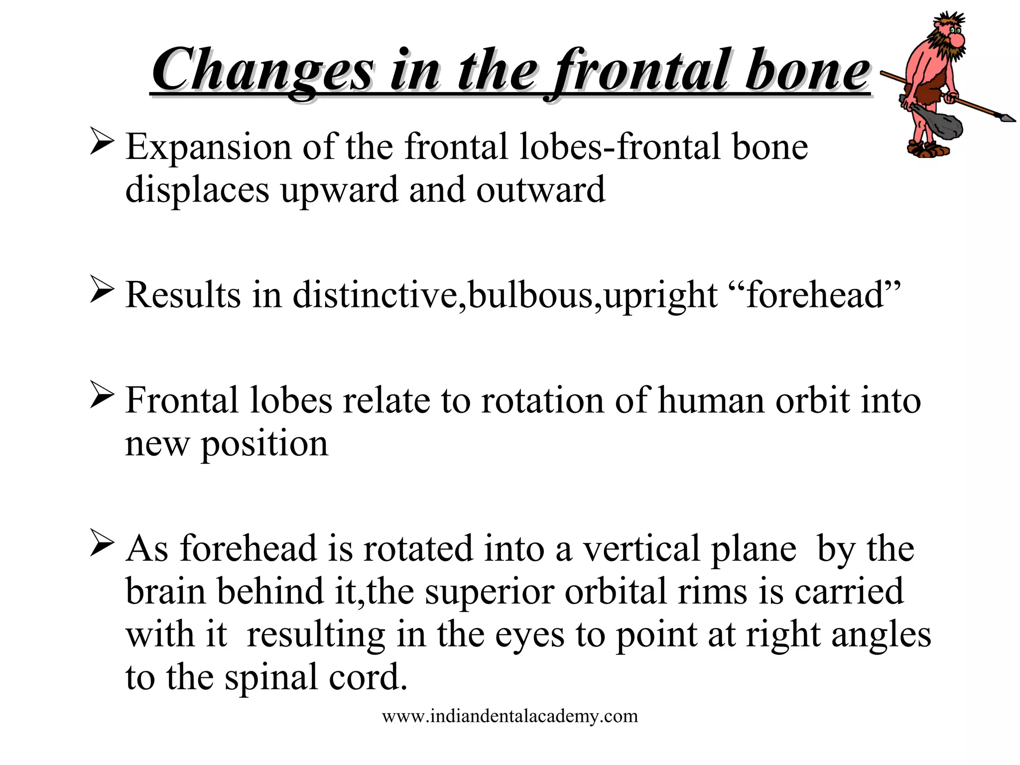 Evolution of human face.. | PPT