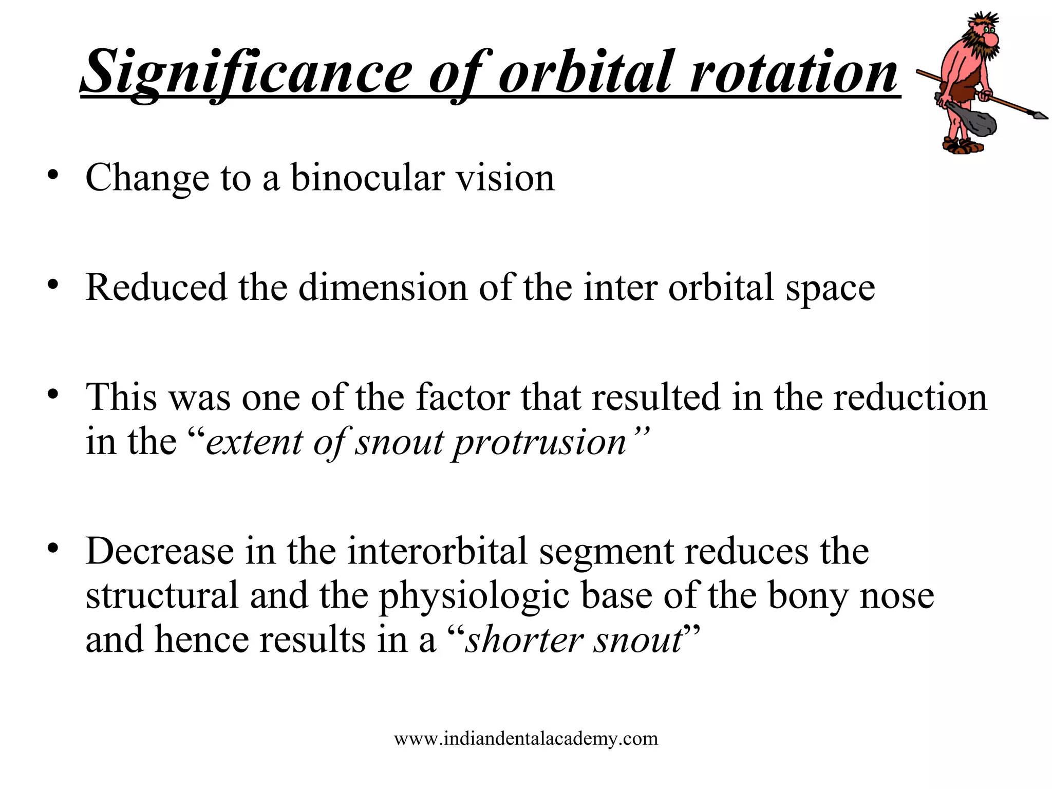 Evolution of human face.. | PPT