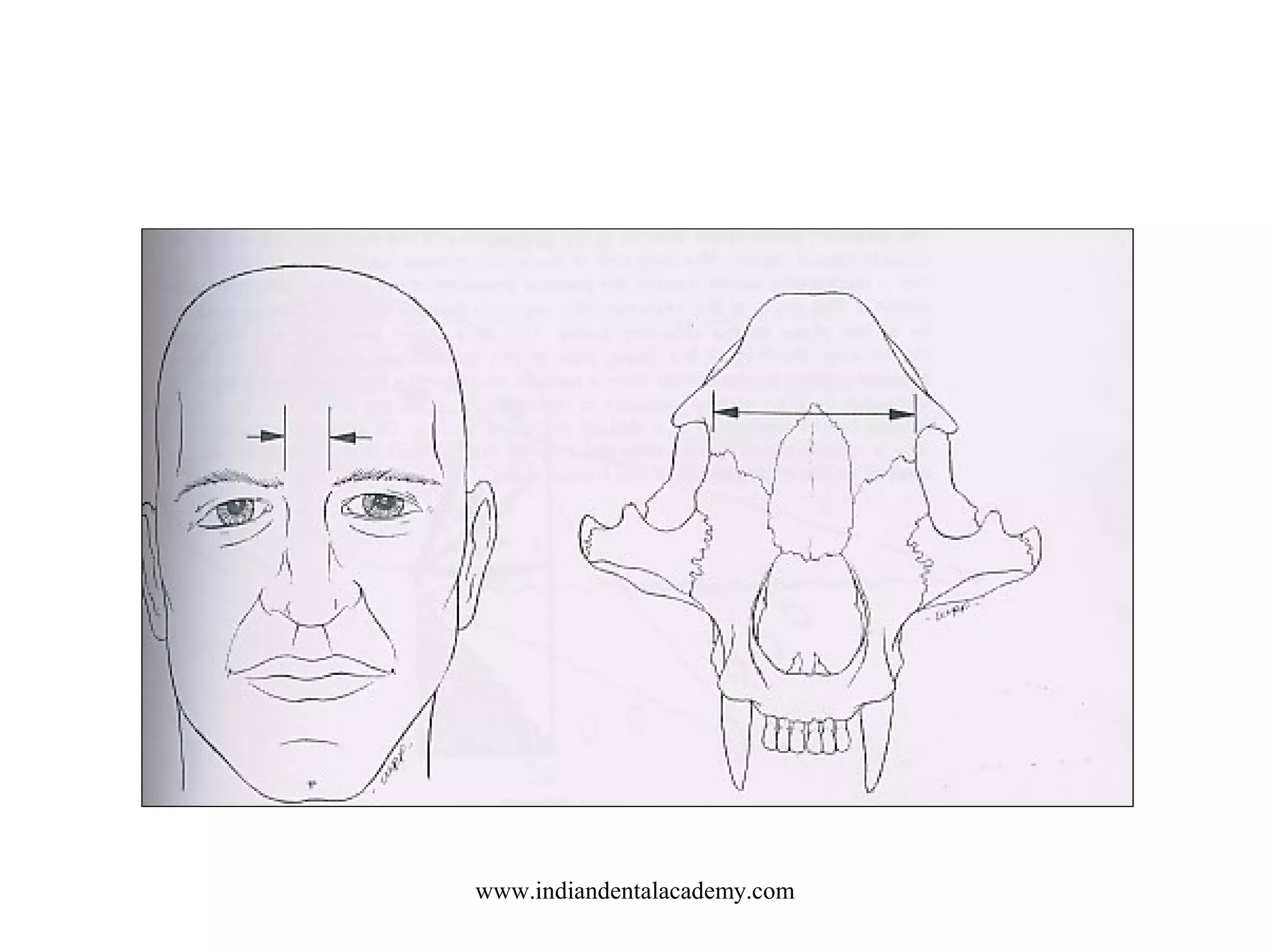 Evolution of human face.. | PPT