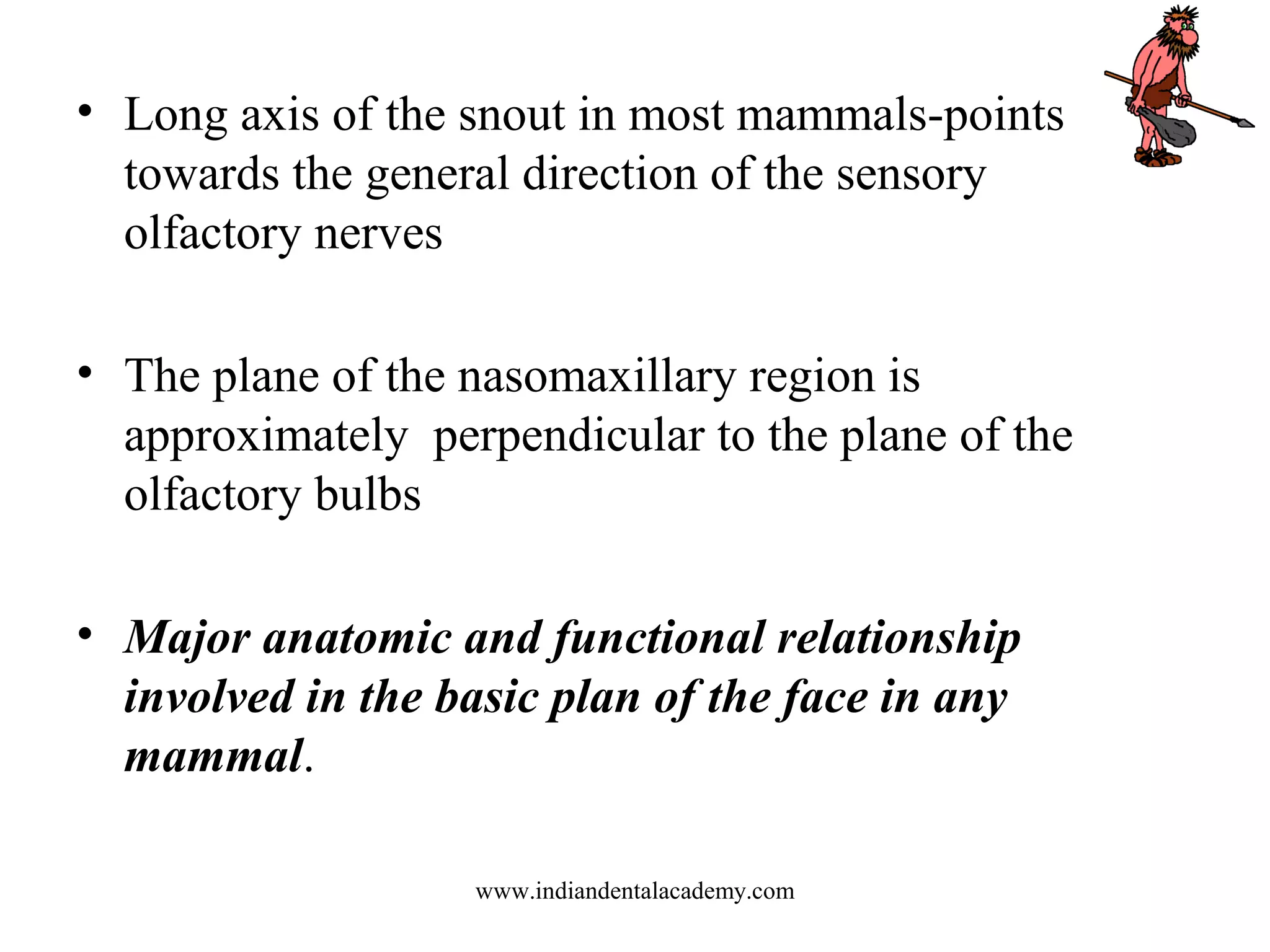 Evolution of human face.. | PPT