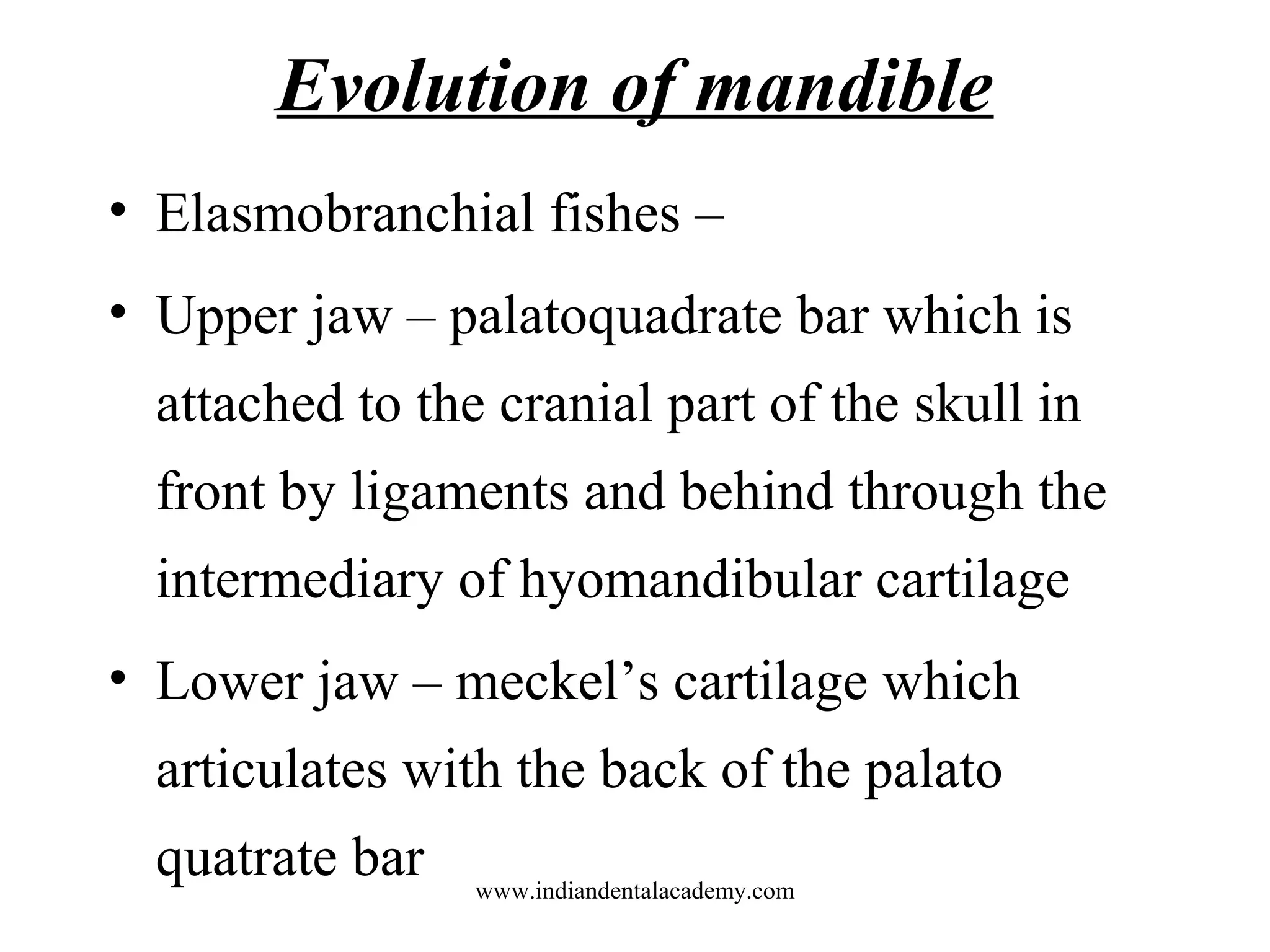Evolution of human face.. | PPT