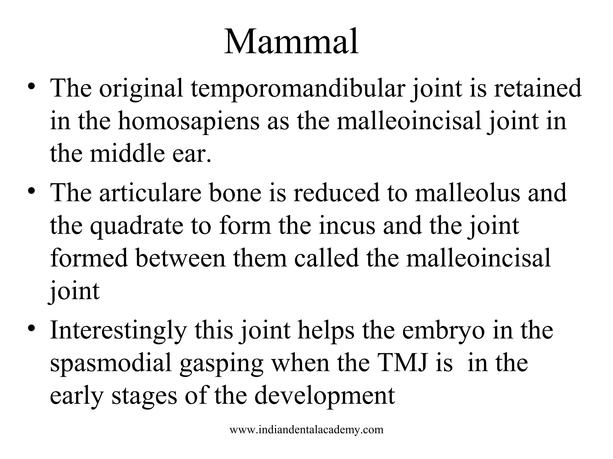 Evolution of human face.. | PPT