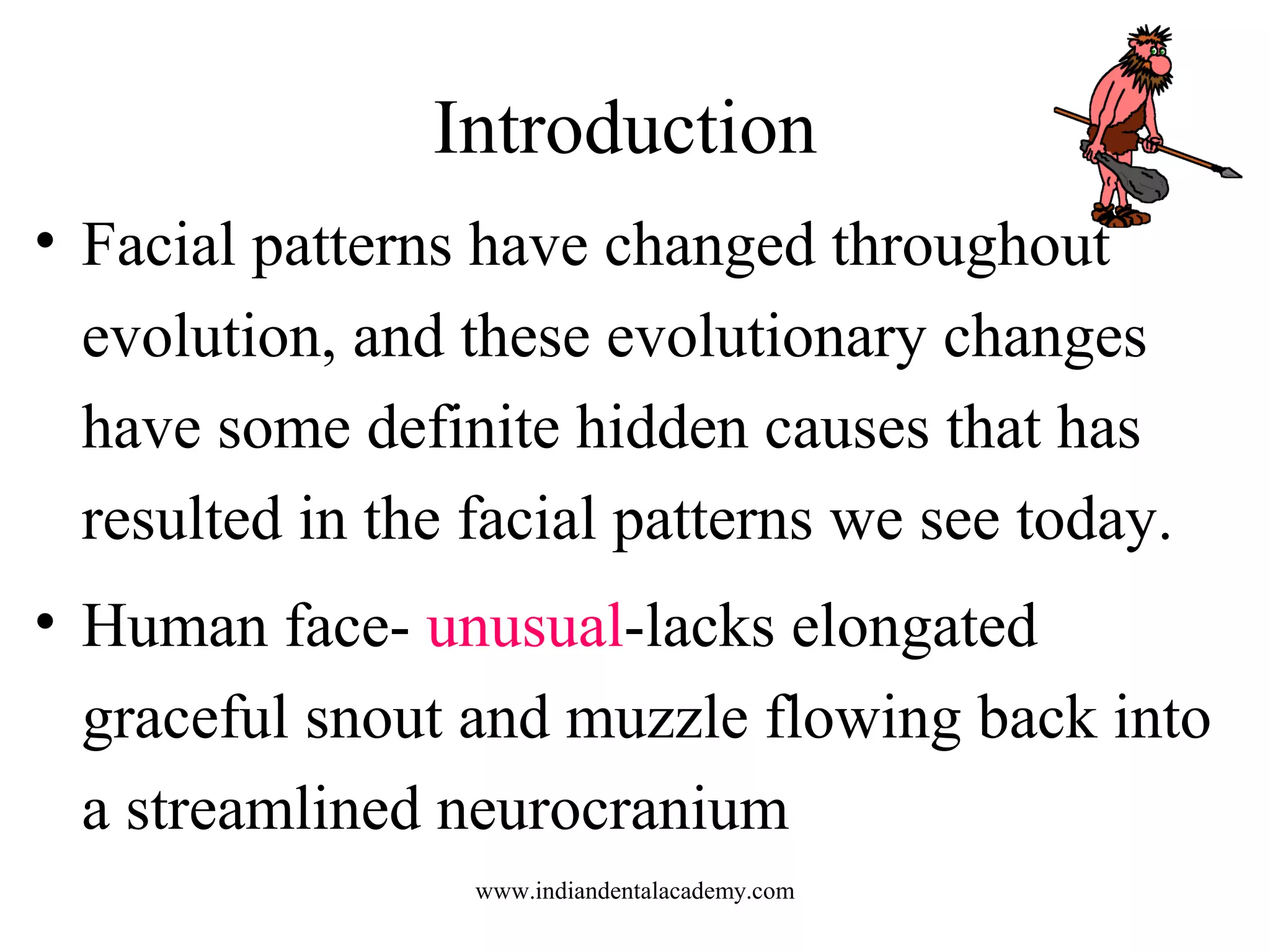 Evolution of human face.. | PPT