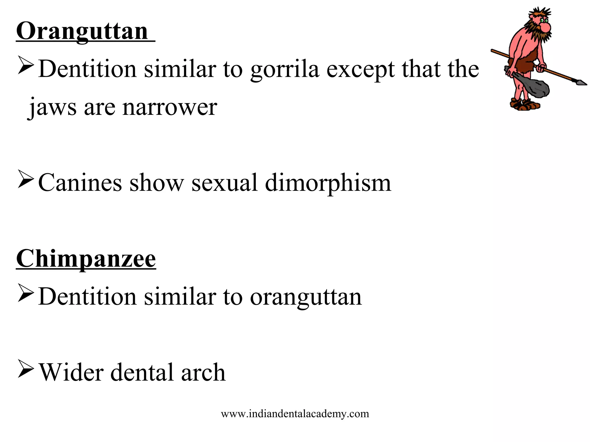 Evolution of human face.. | PPT