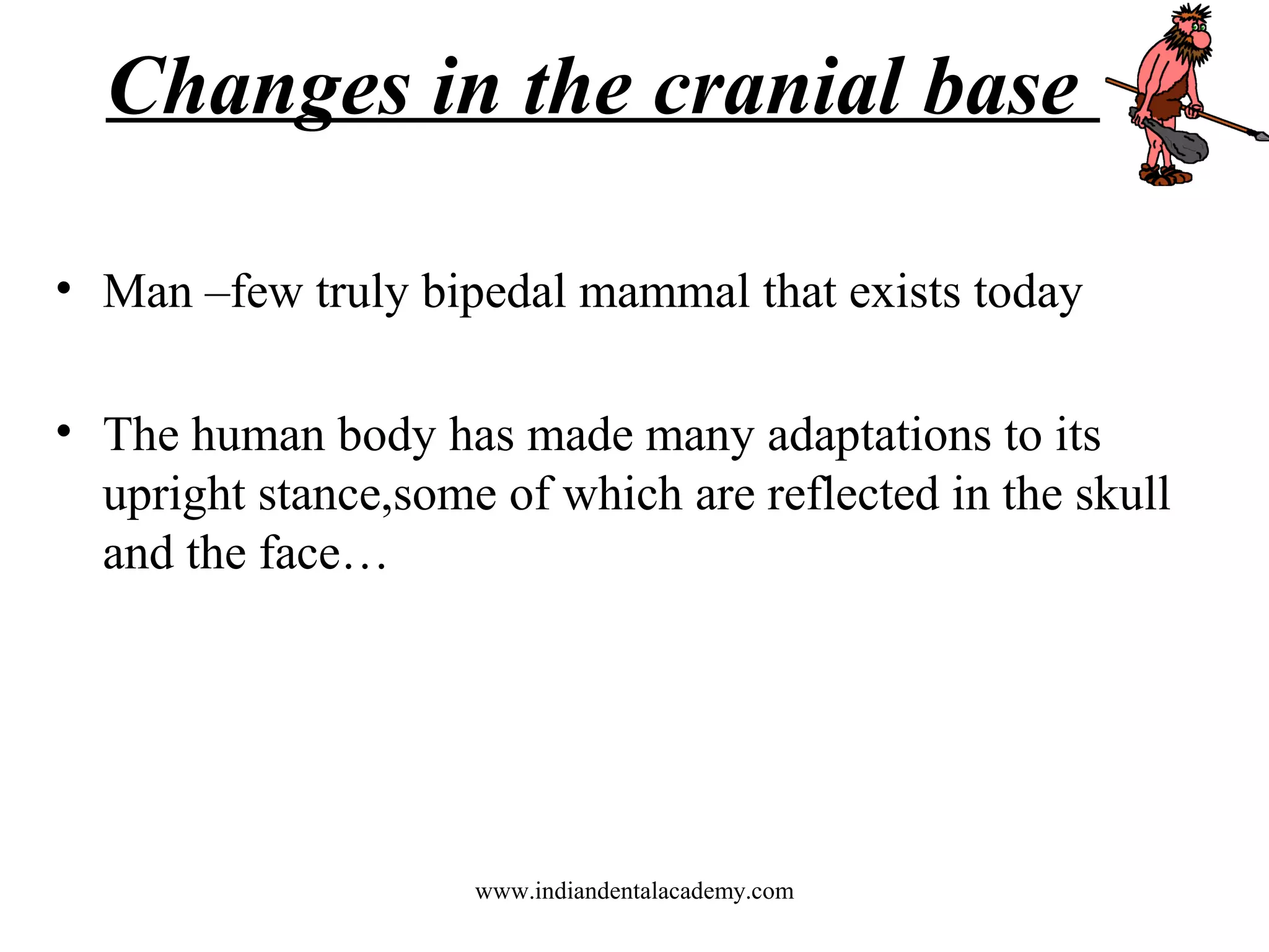 Evolution of human face.. | PPT