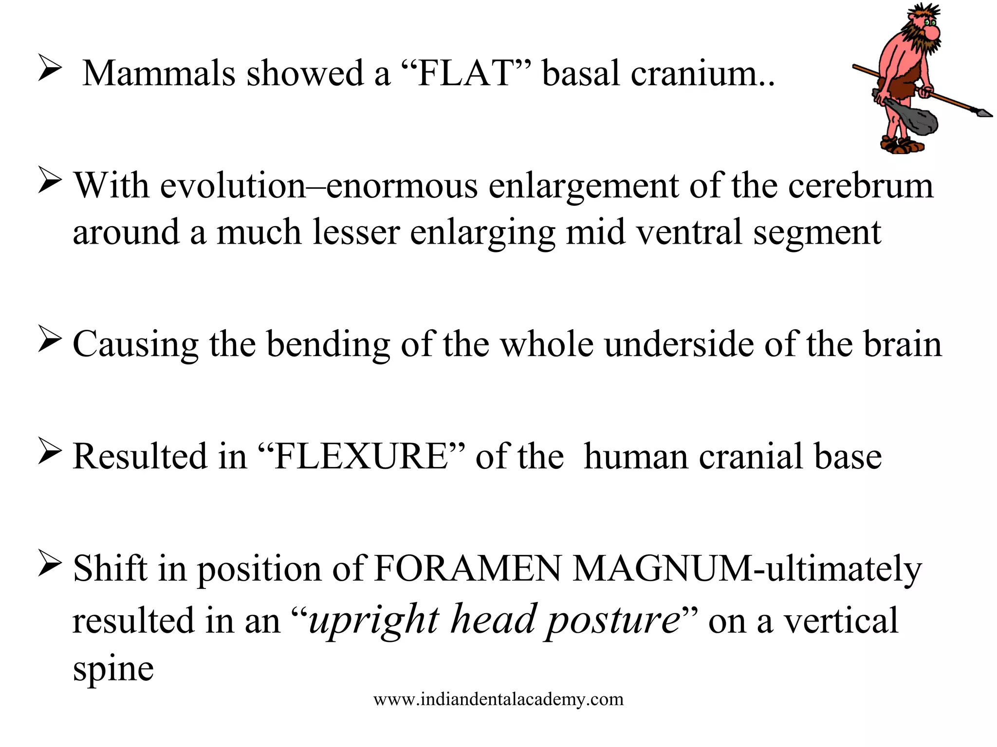 Evolution of human face.. | PPT