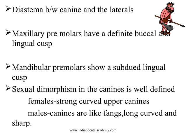 Evolution of human face.. | PPT