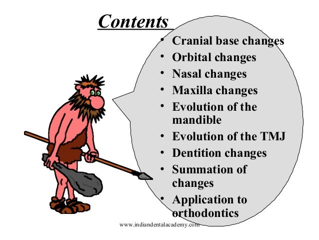 Evolution of human face..
