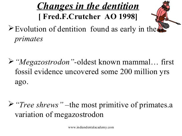 Evolution of human face..