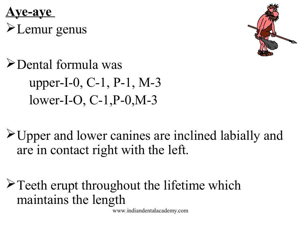 Evolution of human face..