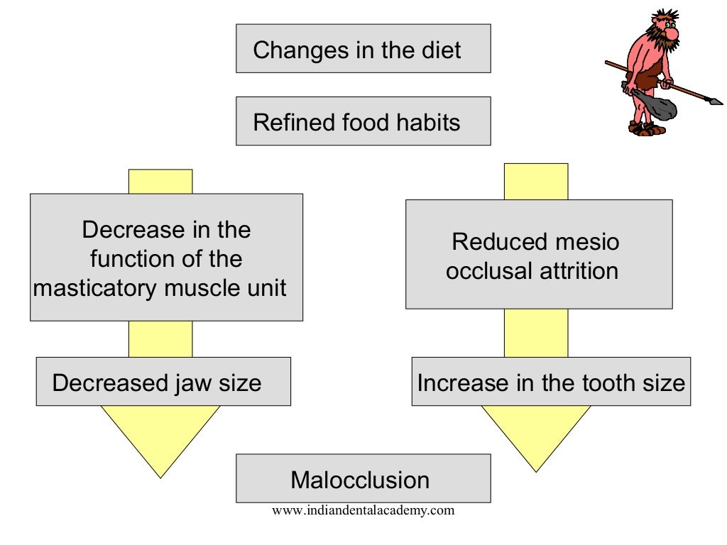 Evolution of human face..