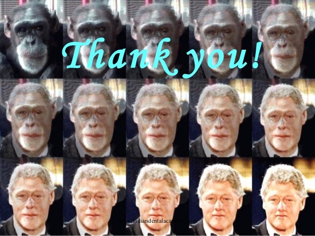 Evolution of human face..