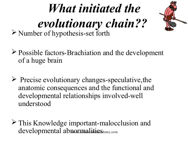 Evolution of human face..