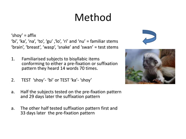 Evolution of human language final | PPTX | Genetics | Science