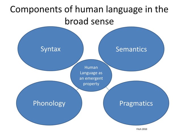 Evolution of human language final | PPTX | Genetics | Science