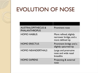 EVOLUTION OF HUMAN RACE new.pptx . | PPTX